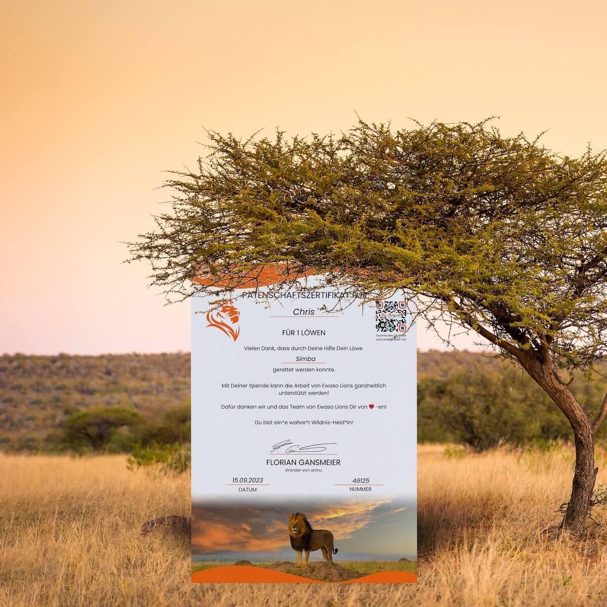 Lion sponsorship from aninu